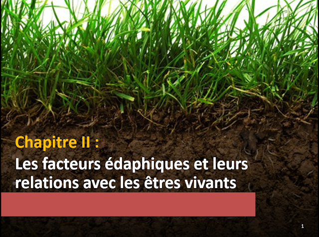 Télécharger Powerpoint | Chapitre II : Les facteurs édaphiques et leurs relations avec les êtres ...