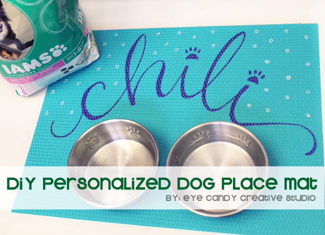 Eye Candy Creative Studio: DIY CRAFT :: for the DOG + Chili pics