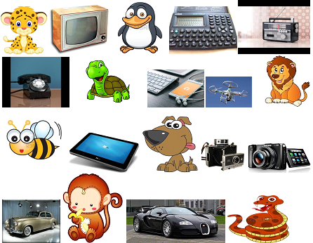 Science Class: Seres Vivos E Inertes 3°