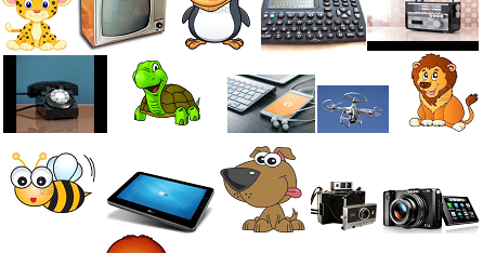 Science Class: Seres Vivos E Inertes 3°