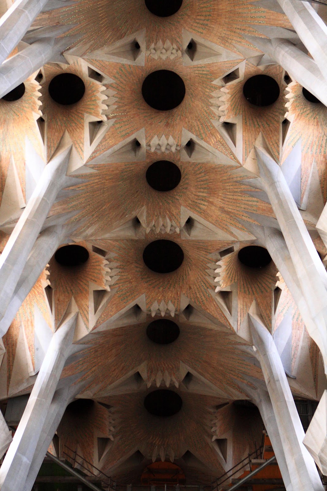 Perfected Perception: Biomimetic Design