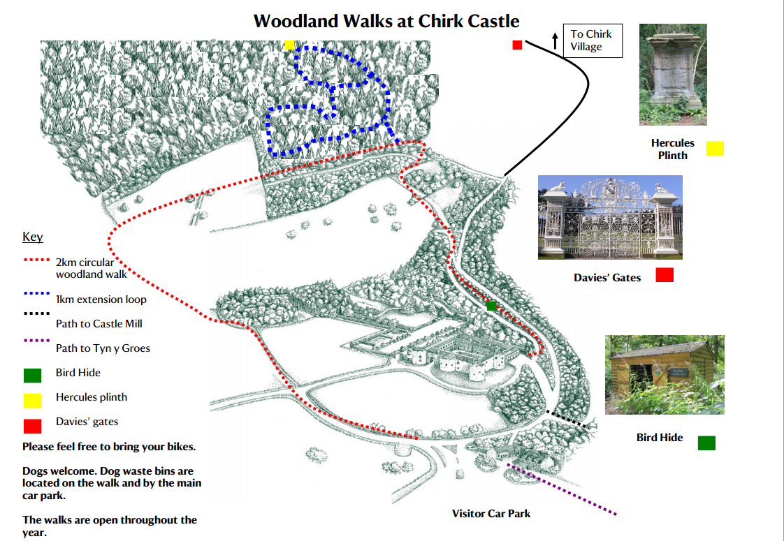 Exploring North Wales: Woodland Walk at Chirk Castle
