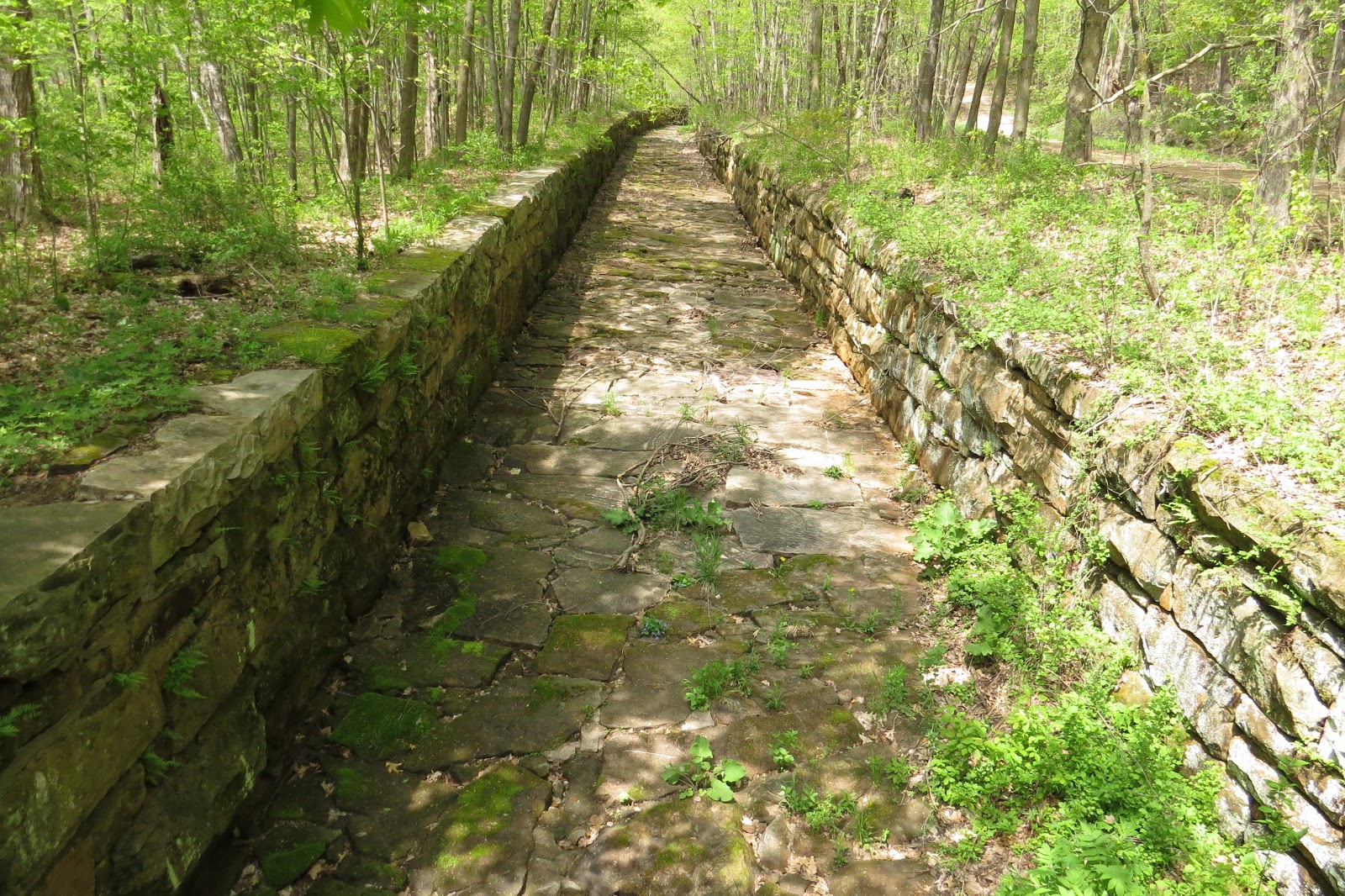 Nomadic Newfies: Elroy-Sparta State Bike Trail
