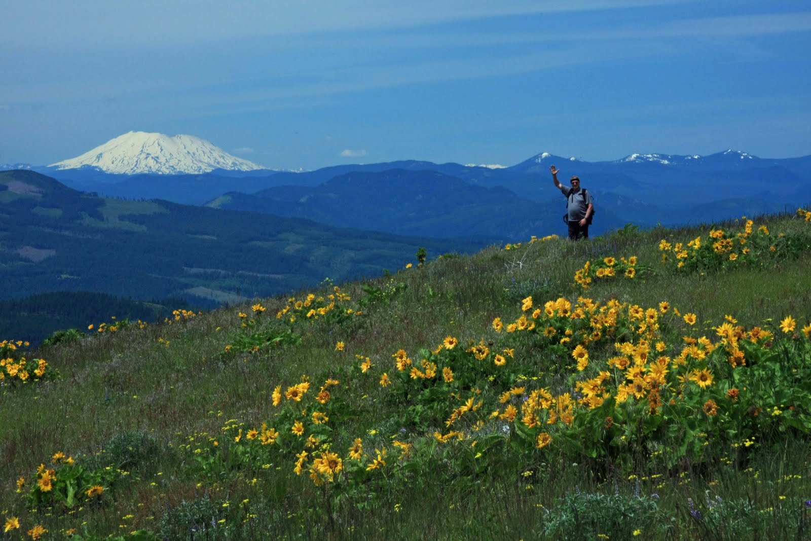 Linda's Lens: Bald Butte