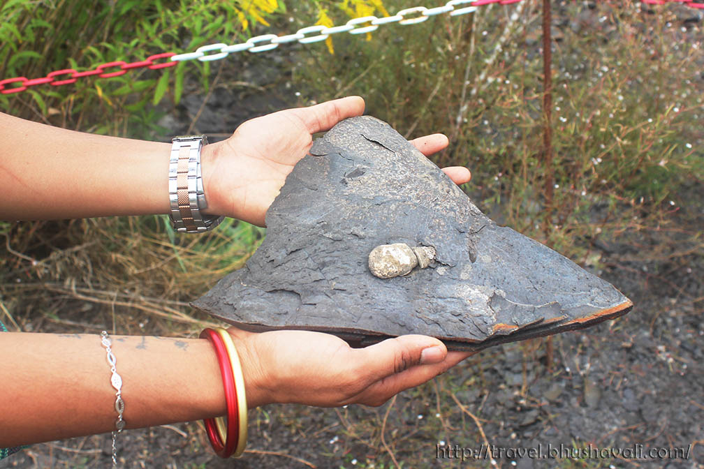 Welterbe Grube Messel - Messel Pit Fossil Site (Hessen - Germany) | My ...