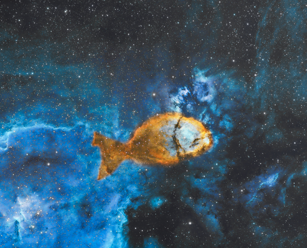 Doncaster AS - Photo Journal: The Fish Head Nebula - A different take