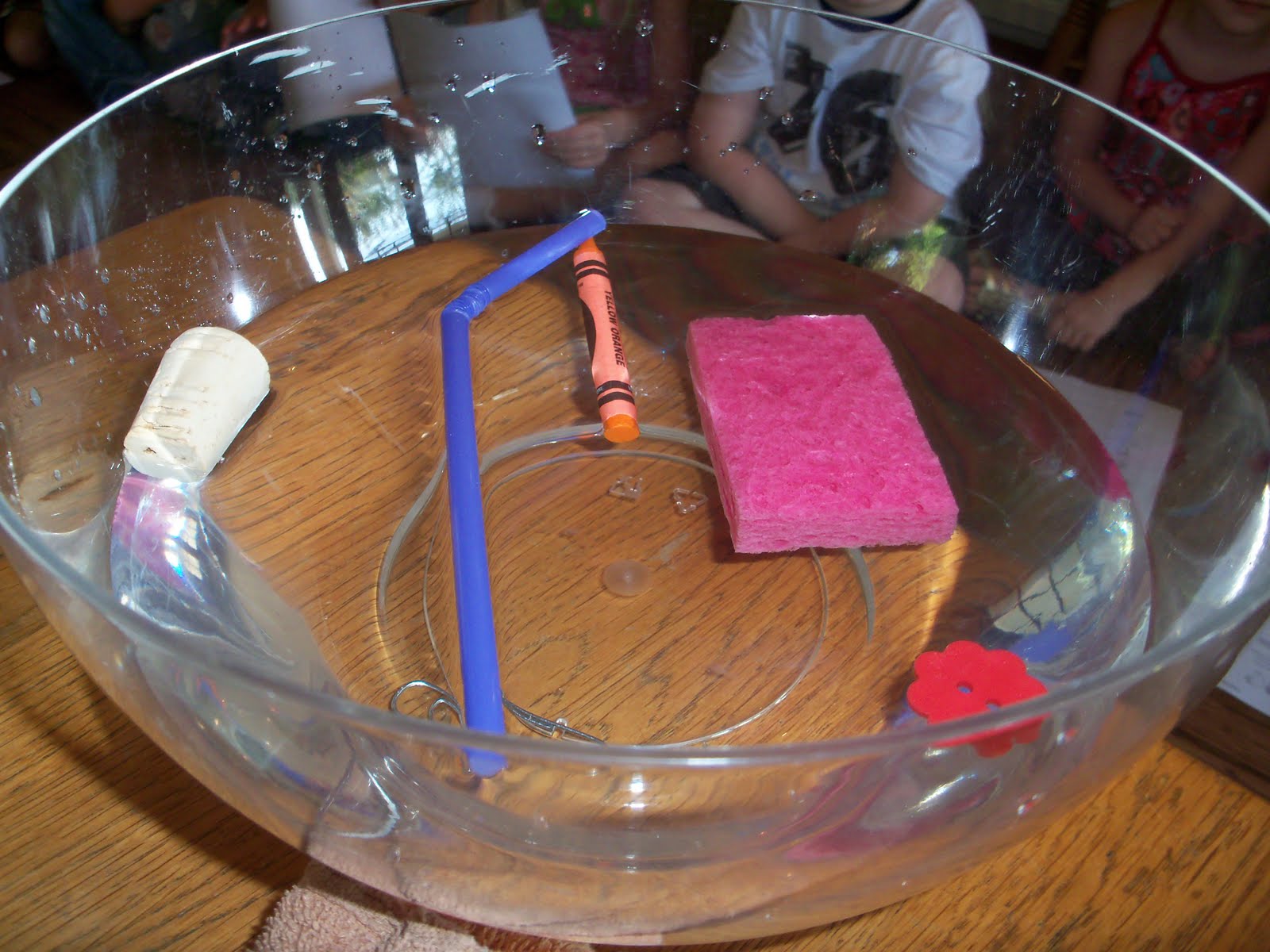 Welcome to Montessori Kindergarten: Science Experiment: Float or Sink?
