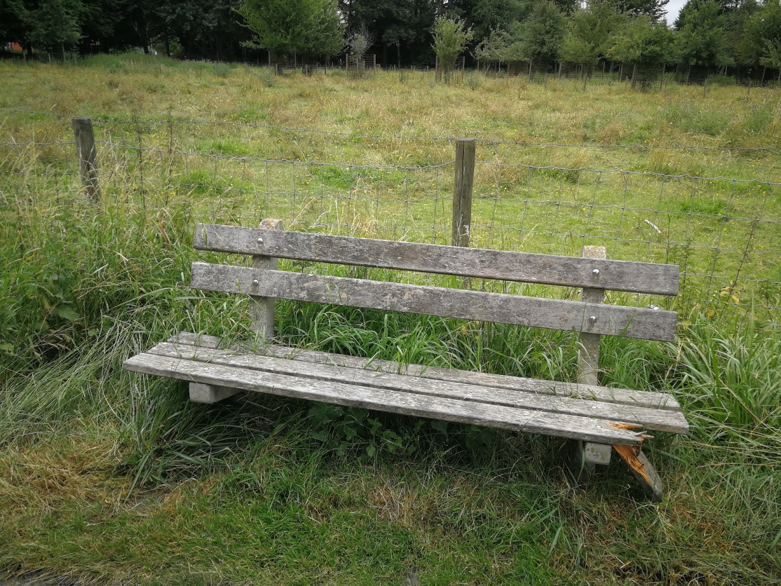 BEIJUMNIEUWS: ZITBANK IN GROENE HART MOEST EVEN KAPOT