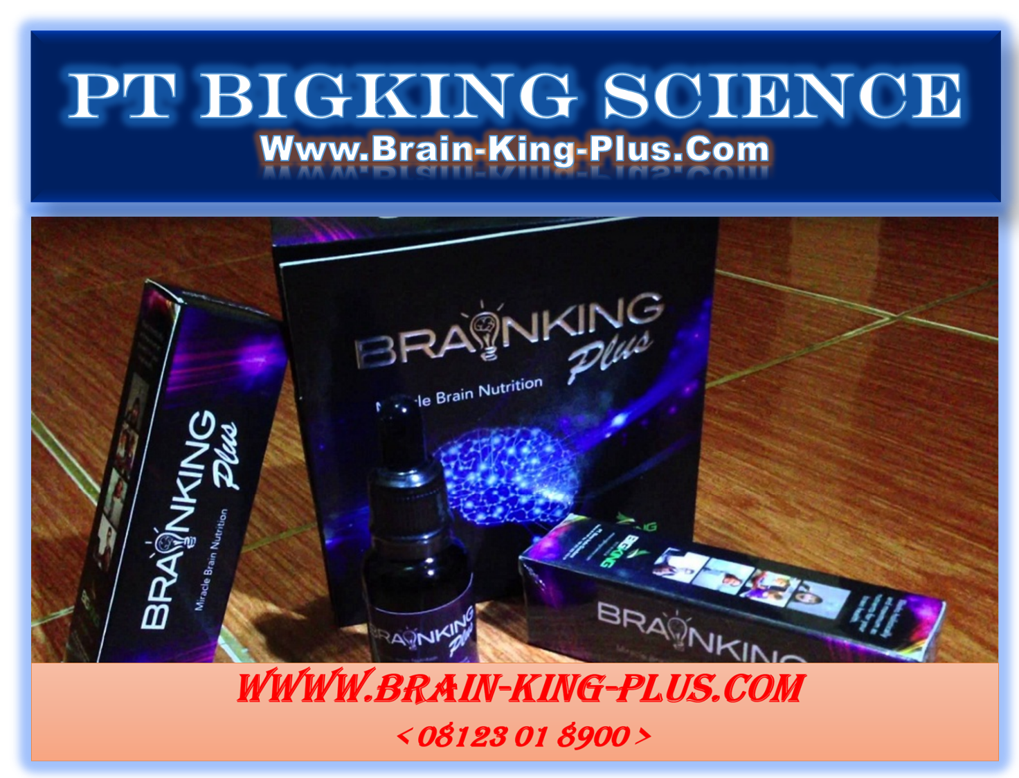 Brainking Plus | Jual Brainking Plus | Pt Bigking Science ~ Brainking Plus