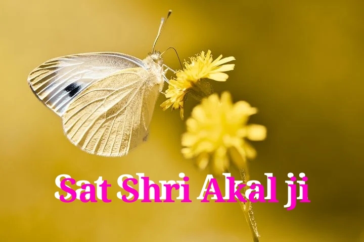 Top 10 Sat Shri Akal Ji Images, Photos, Pictures, Greetings for ...