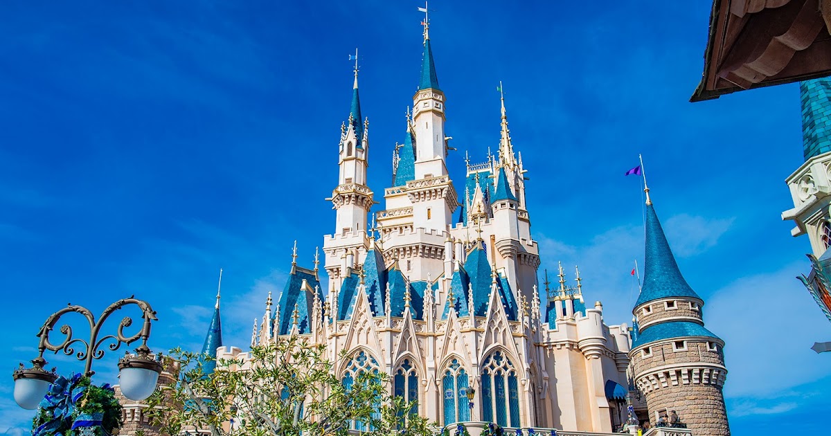 Disney Photoblography