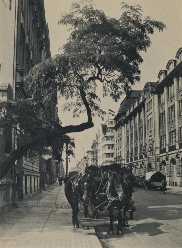 Street Scenes of Berlin During the 1920s Through Amazing Photos ...