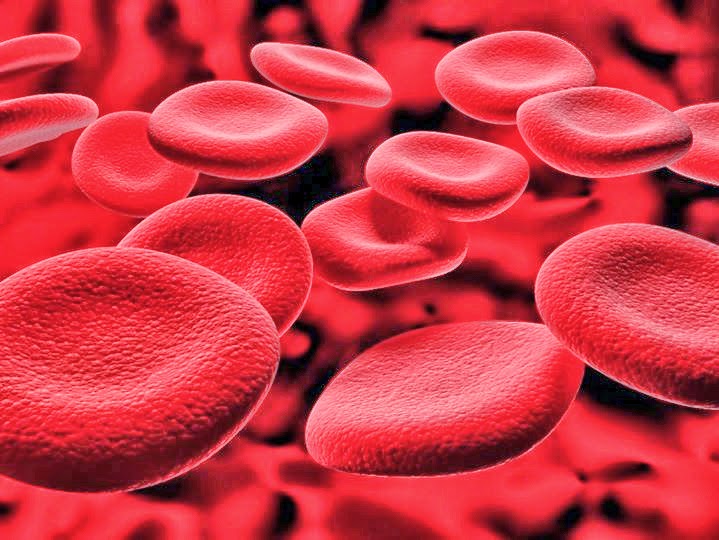 Earn knowledge.......: 10 facts about Blood