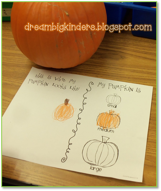 Dream Big Kinders: All about Pumpkins! and a FREEBIE!