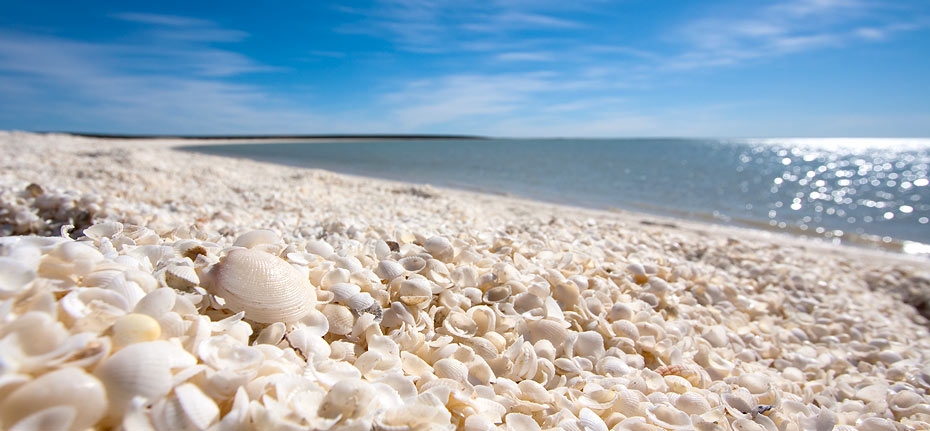 Discover Your Next Destination: Shell Beach, Shark Bay, Western Australia