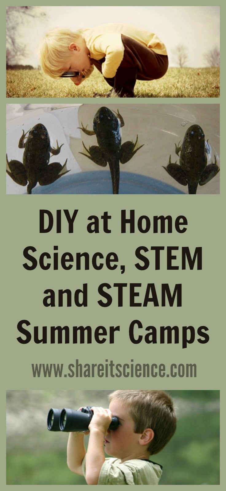 Share it! Science : DIY At-Home Science, STEM and STEAM Summer Camps