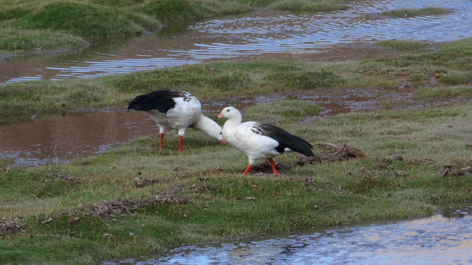 Tien jaar eerder gestopt met werken: de wereld in!: mei 2020
