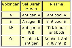 BIOLOGI GONZAGA: GOLONGAN DARAH RHESUS