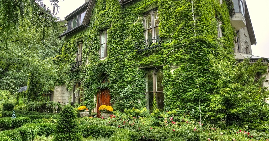 FRESH BRICK: LAYING THE FIRST BRICK