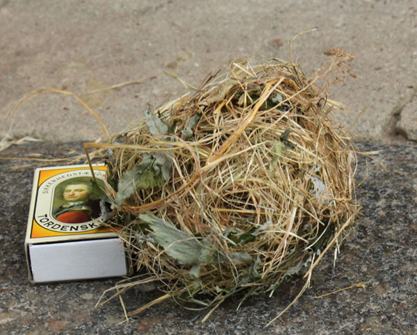 Mormors blog: Beestjes...