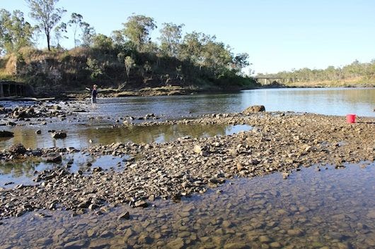 Travels with the Highland Drover: Calliope River