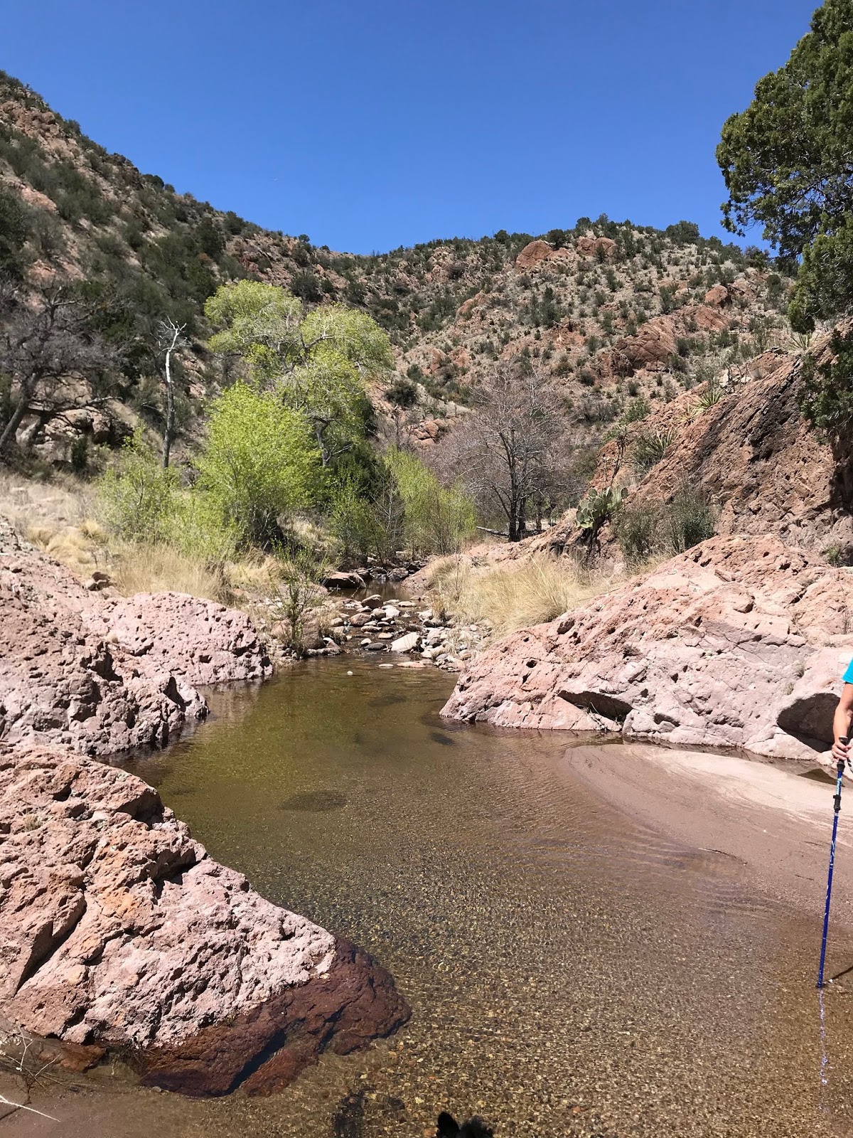 Southern New Mexico Explorer: Gila National Forest - Noonday Canyon ...