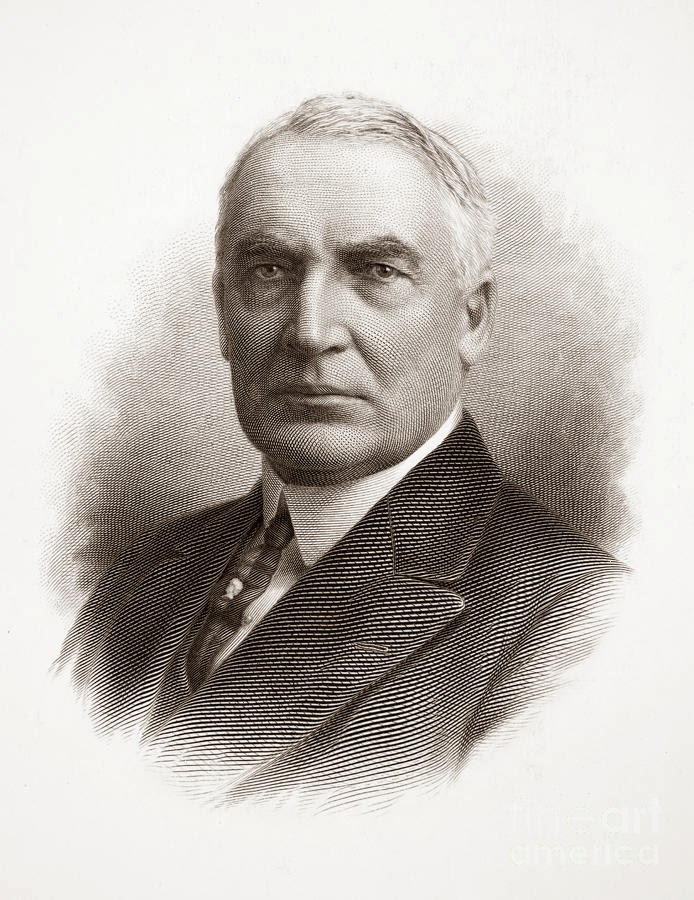 Carroll Bryant: Warren G. Harding: The Presidents