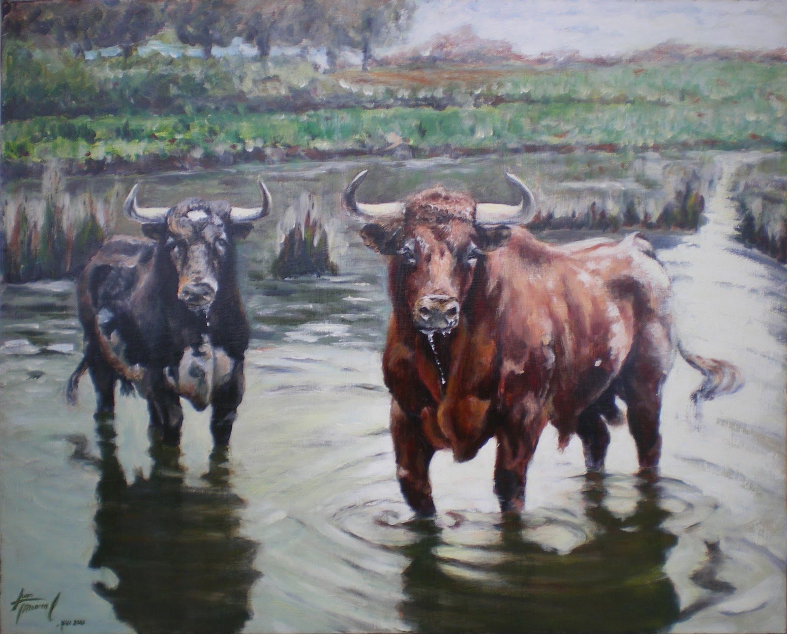 AMART, Asociación Movimiento Artístico: JUAN MONREAL ROURES