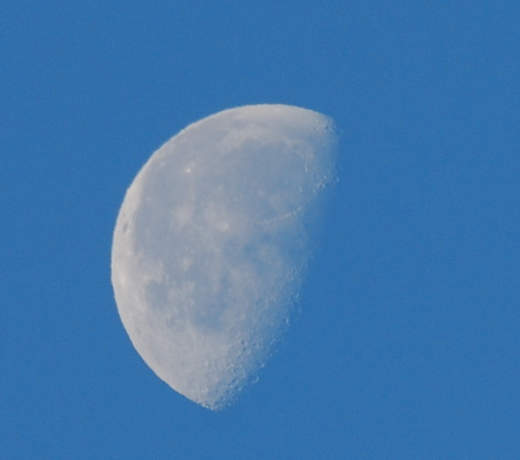 Física 1011 (Tutor virtual): Observe la luna de día