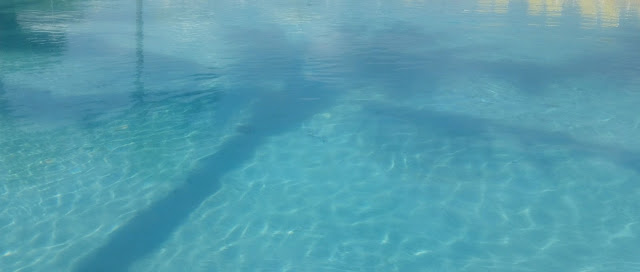 Publicide Inc: Custom + Commercial Printing in NYC: Spotlight On ...