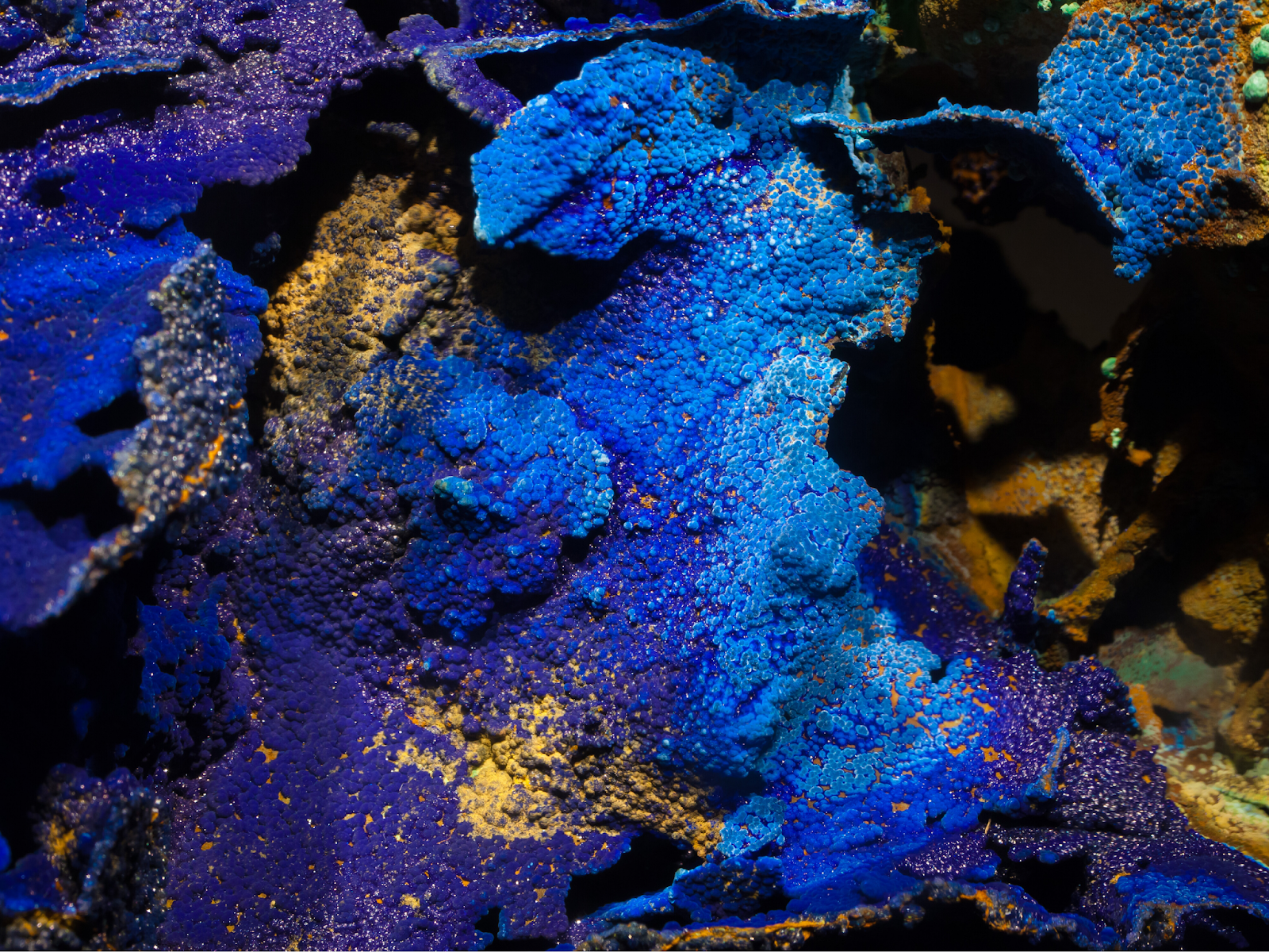 FOSSIL HUNTRESS: INDIGO: NATURAL DYES