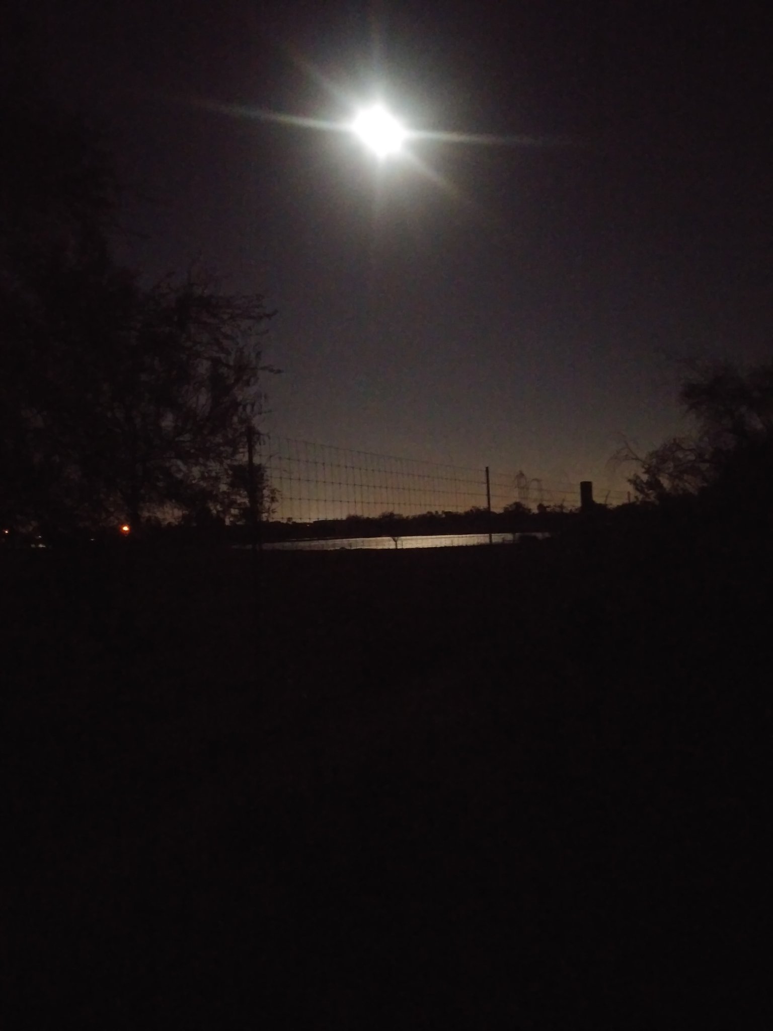 ETERNAL ICE CREAM PARLOR