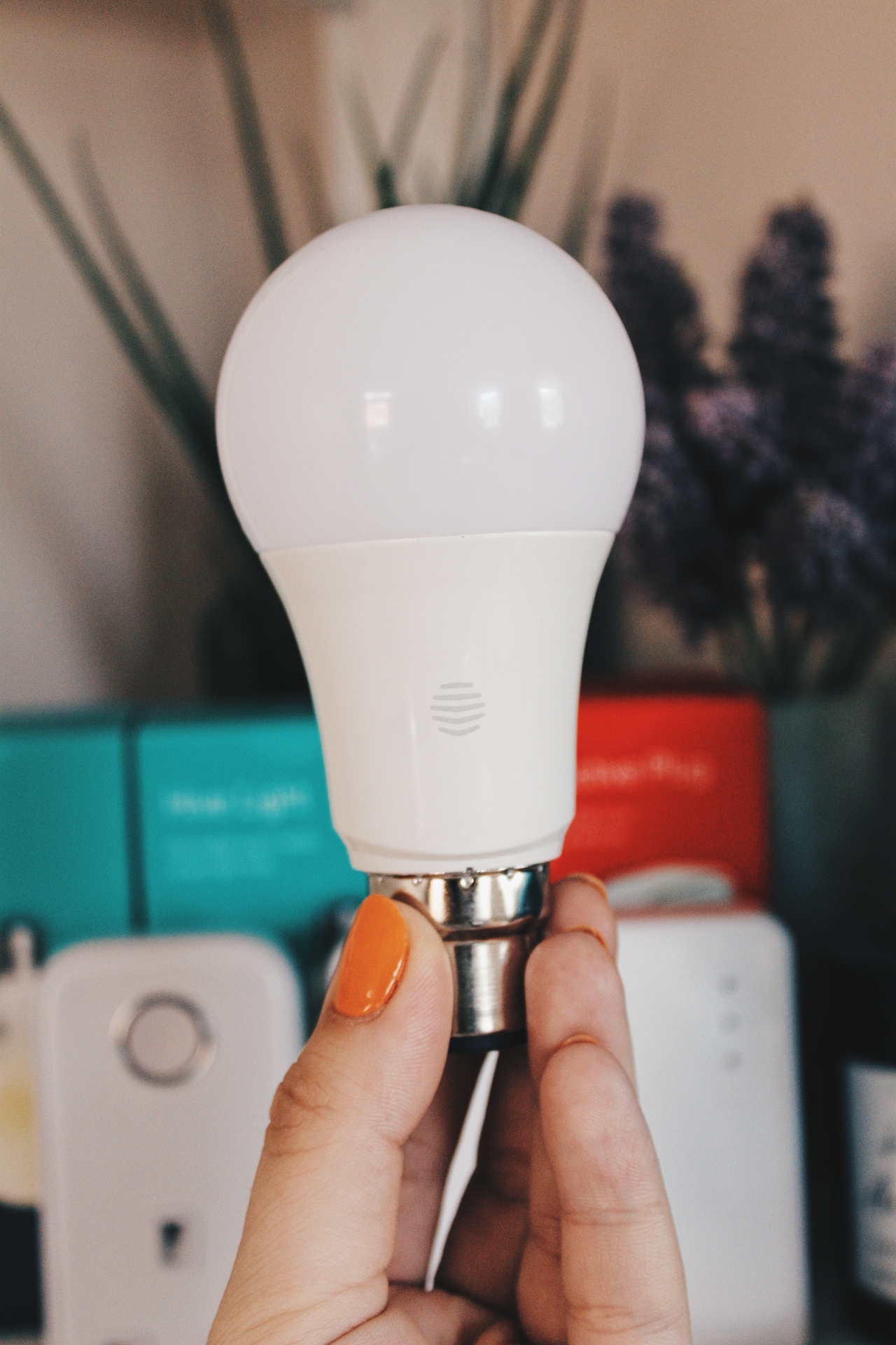 Harmony at Home with Hive | Alice Anne