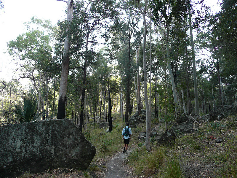 Nele & Andrew Around Oz: Big Bend Campsite, Carnarvon Gorge National ...