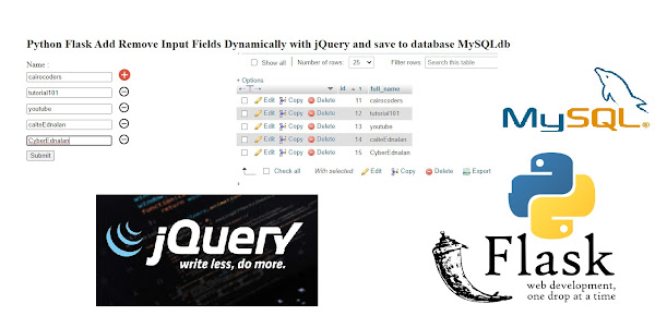 Python Flask Add Remove Input Fields Dynamically with jQuery and save ...