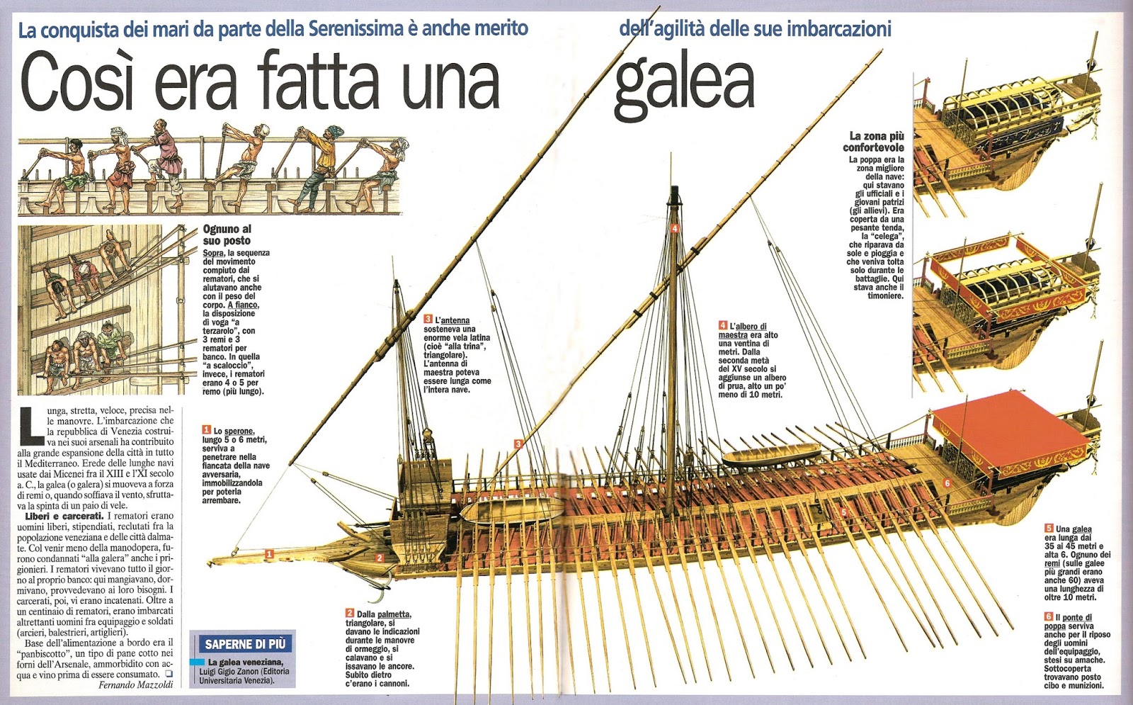 COME ERA FATTA UNA GALEA?