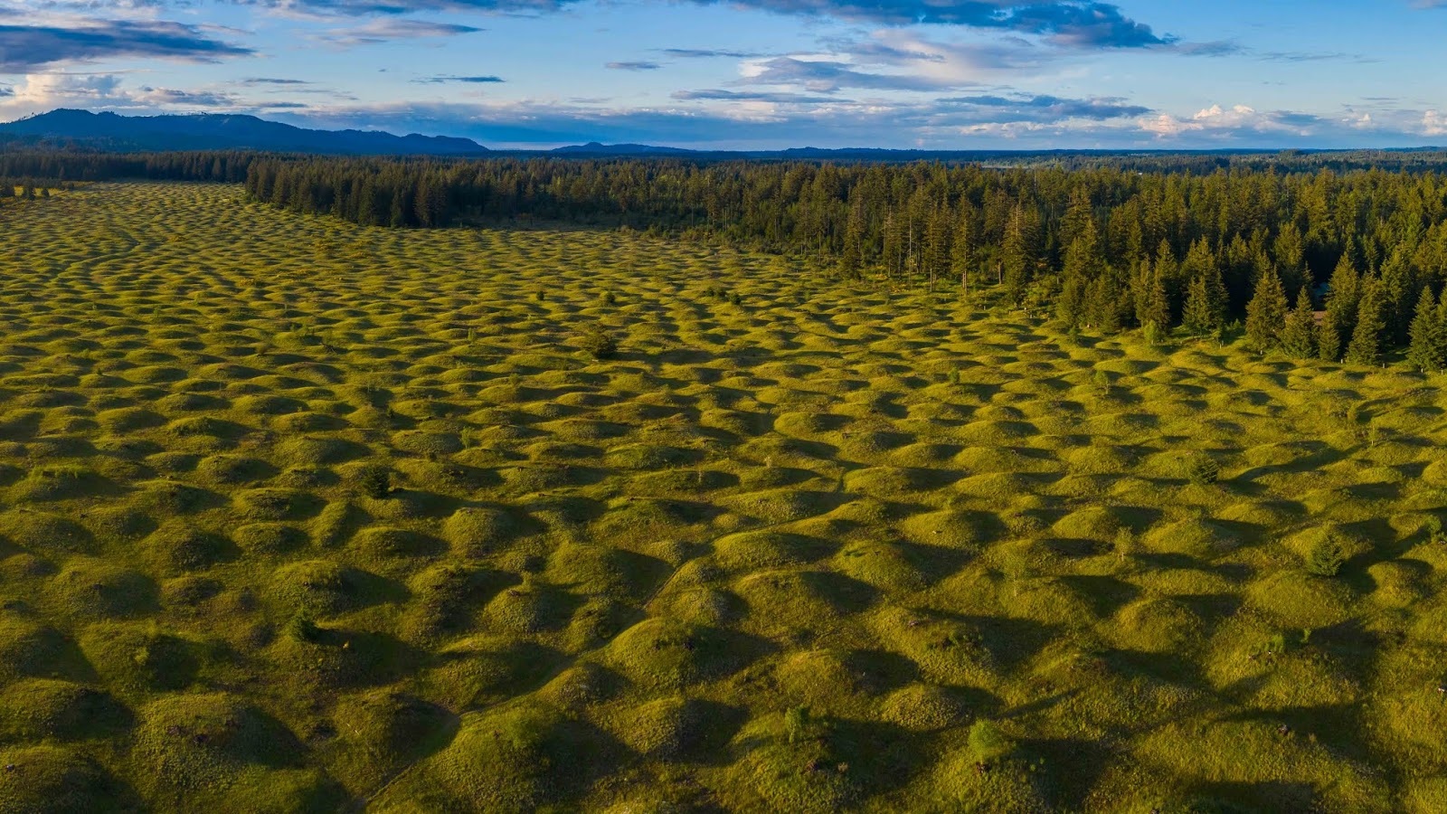 Illuminations from the attic: Sunset at Mima Mounds