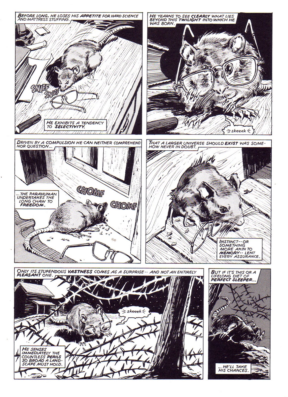 His Name Is Studd: Who the Hell is Stewart the Rat?