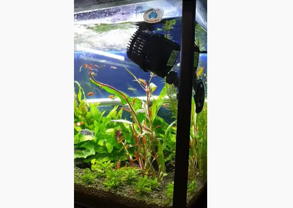 How to Setup Aquarium Wave Maker with Filter