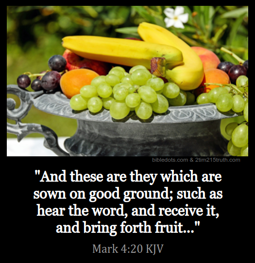 2 Timothy 2:15 Truth: Verse of the Day: Mark 4:20 KJV
