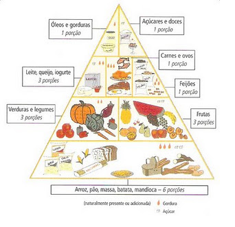 Estudando Nutrição para Concursos: Passando a limpo a Pirâmide ...