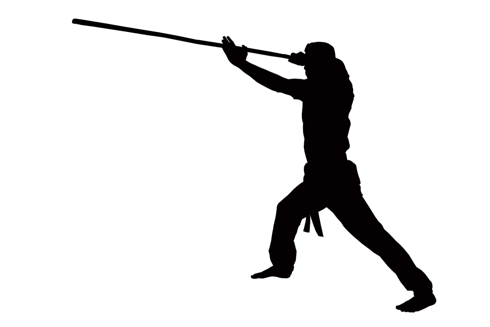 Panchabootha International Martial Arts Academy: Silambam Clipart , vector