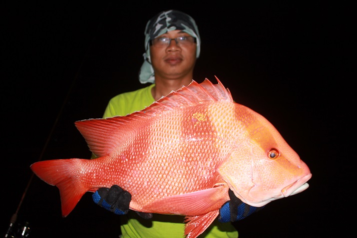 MALAYSIAN FISH HUNTER: Kenali & Cara-cara memancing ikan Merah