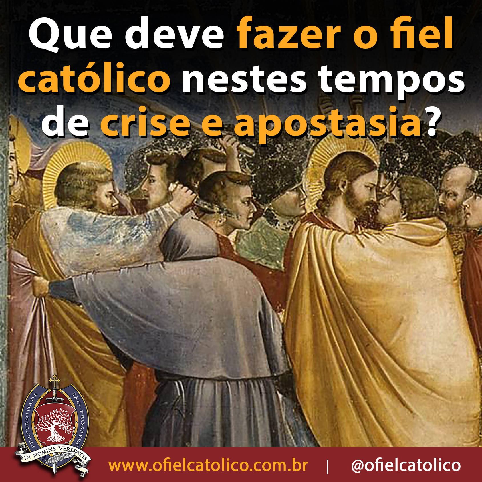 Que deve fazer o fiel católico nestes tempos de crise e de apostasia ...