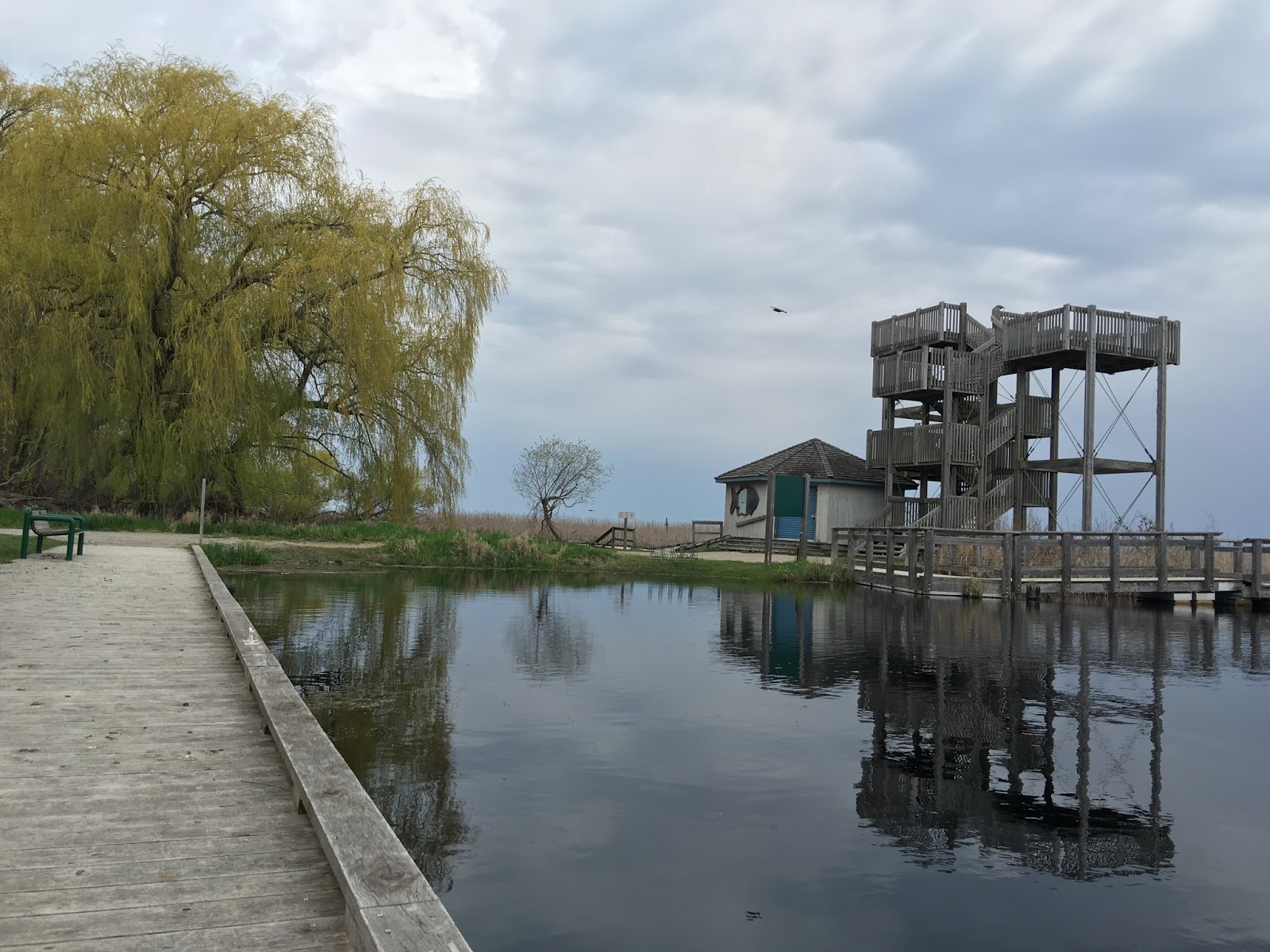 A weekend away from Toronto - Point Pelee