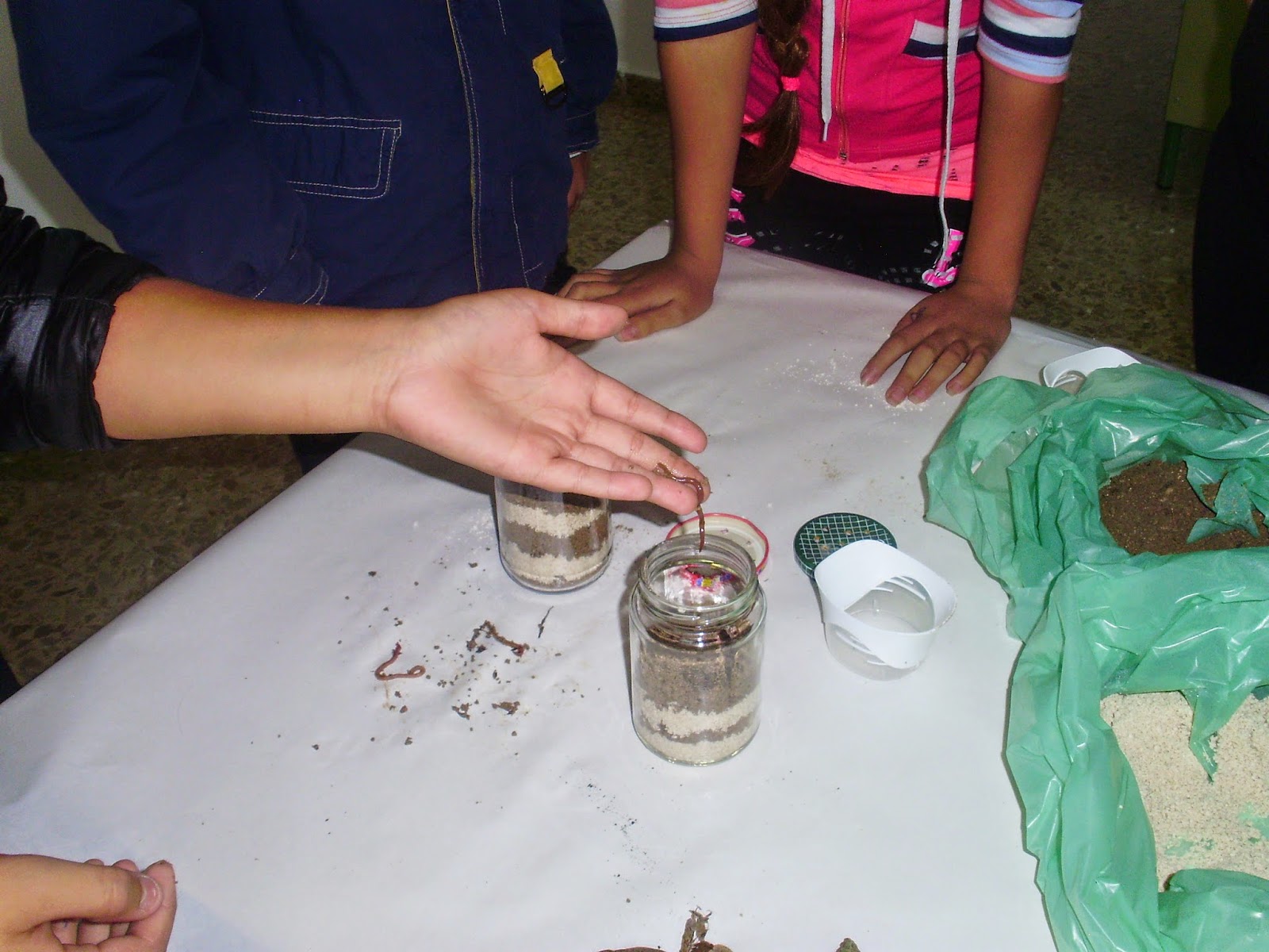 El bancalico del Cervantes: LA LOMBRIZ DE TIERRA