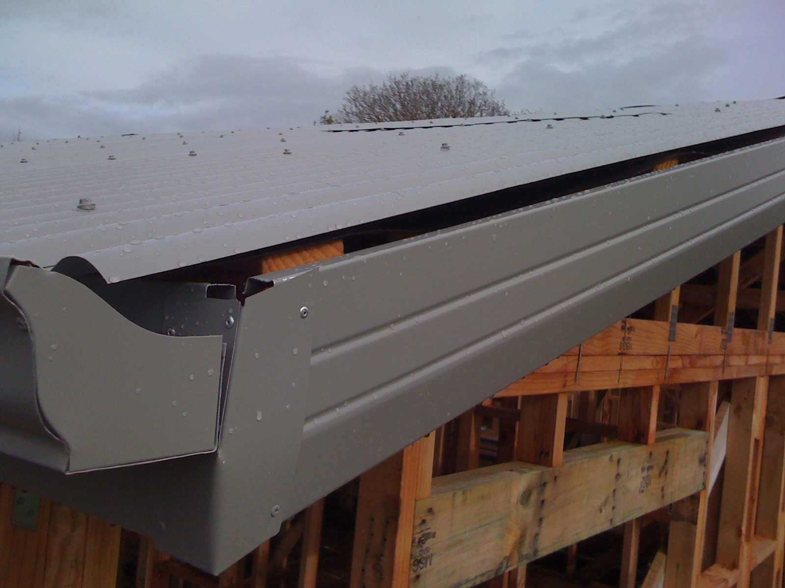 Robert Teh: week 15 unitec carpentry 29 june - 1 july 2011