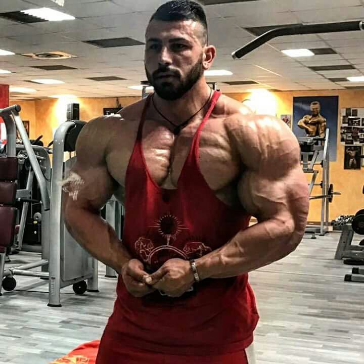 Worldwide Bodybuilders: Italian muscle horse Andrea Muzi