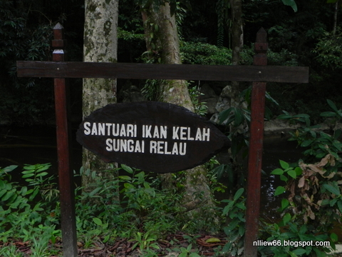 NL LIEW's Blog: Kelah Sanctuary at Sungai Relau