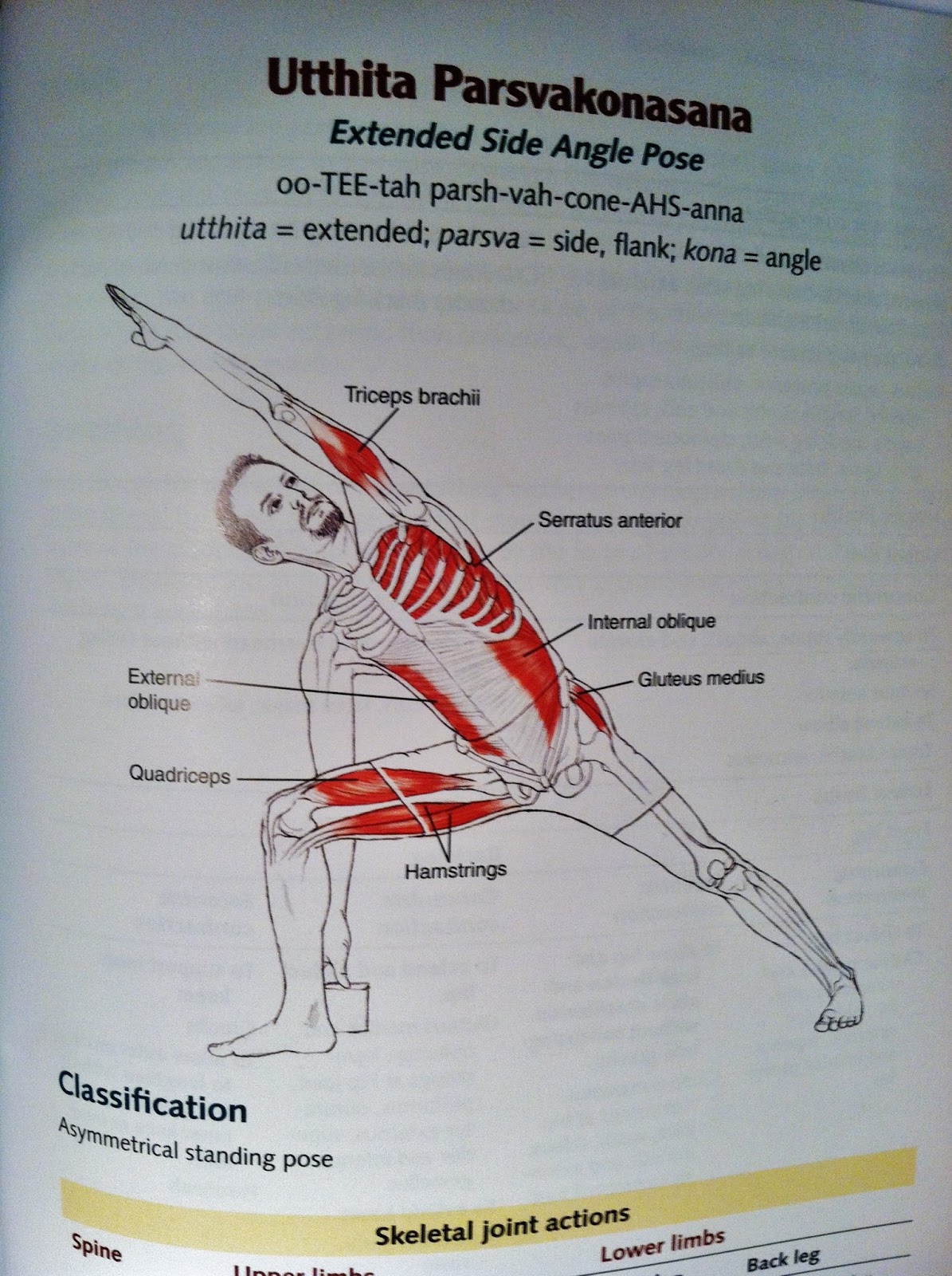 Exhale, Inhale: Yoga: Posture Clinic: Extended Side Angle (Uttita ...